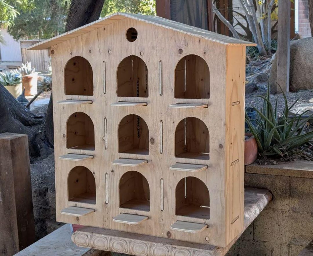 PIGEON NESTING Bird BOX Kit - 9 Hole - Etsy