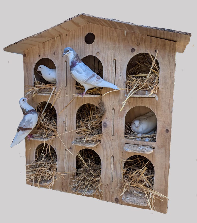 PIGEON NESTING BOXES - 9 Hole - Gable - Etsy