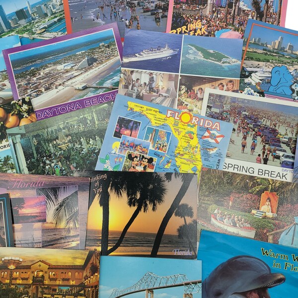 Florida Postcard - Etsy