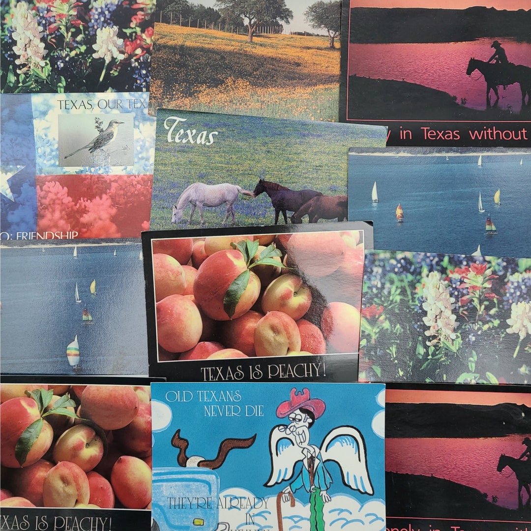 Vintage Postcards Texas Bundles of 12 Mixed Unused - Etsy