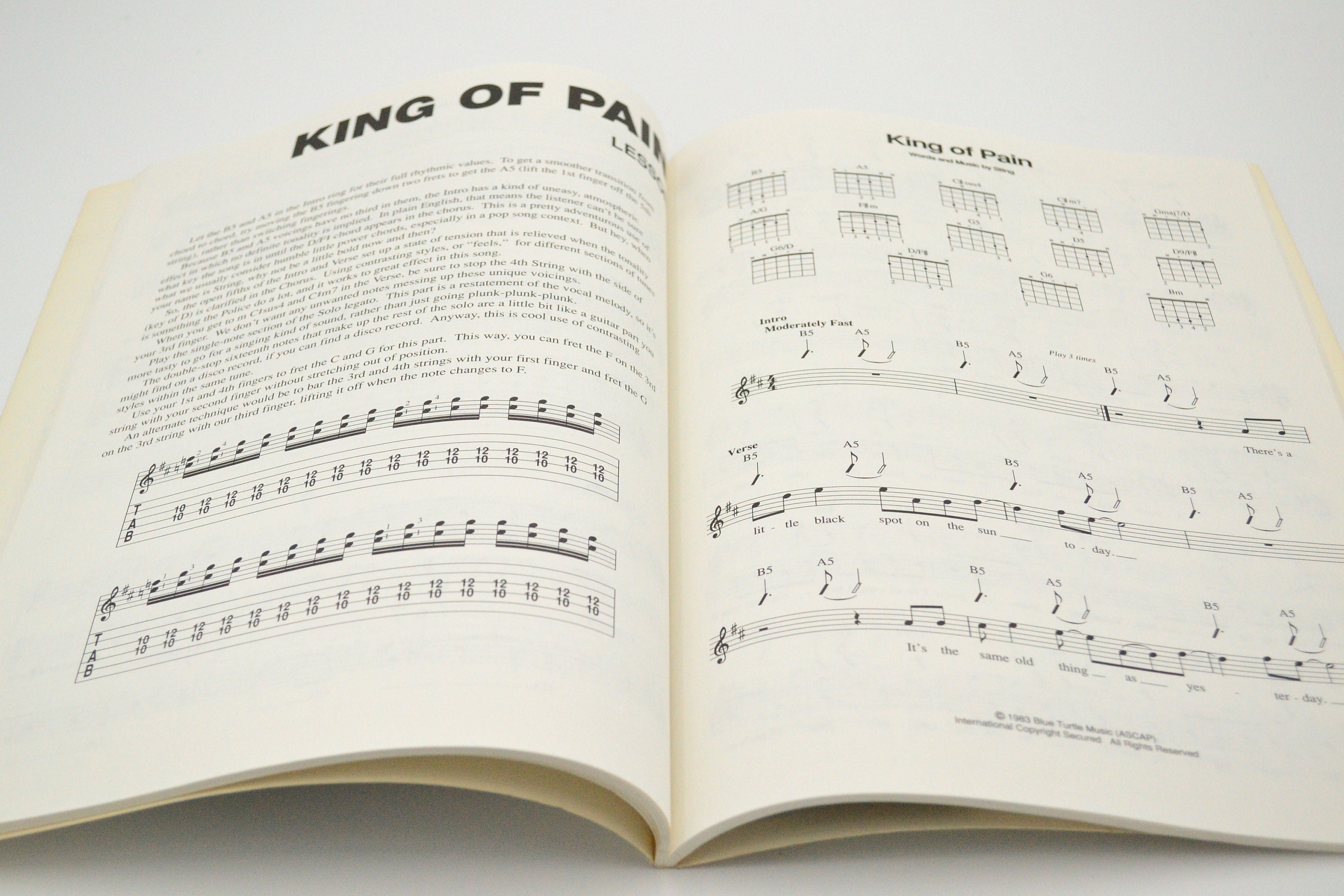 The Best of Police Song Book by Easy Guitar Sheet Music for | Etsy