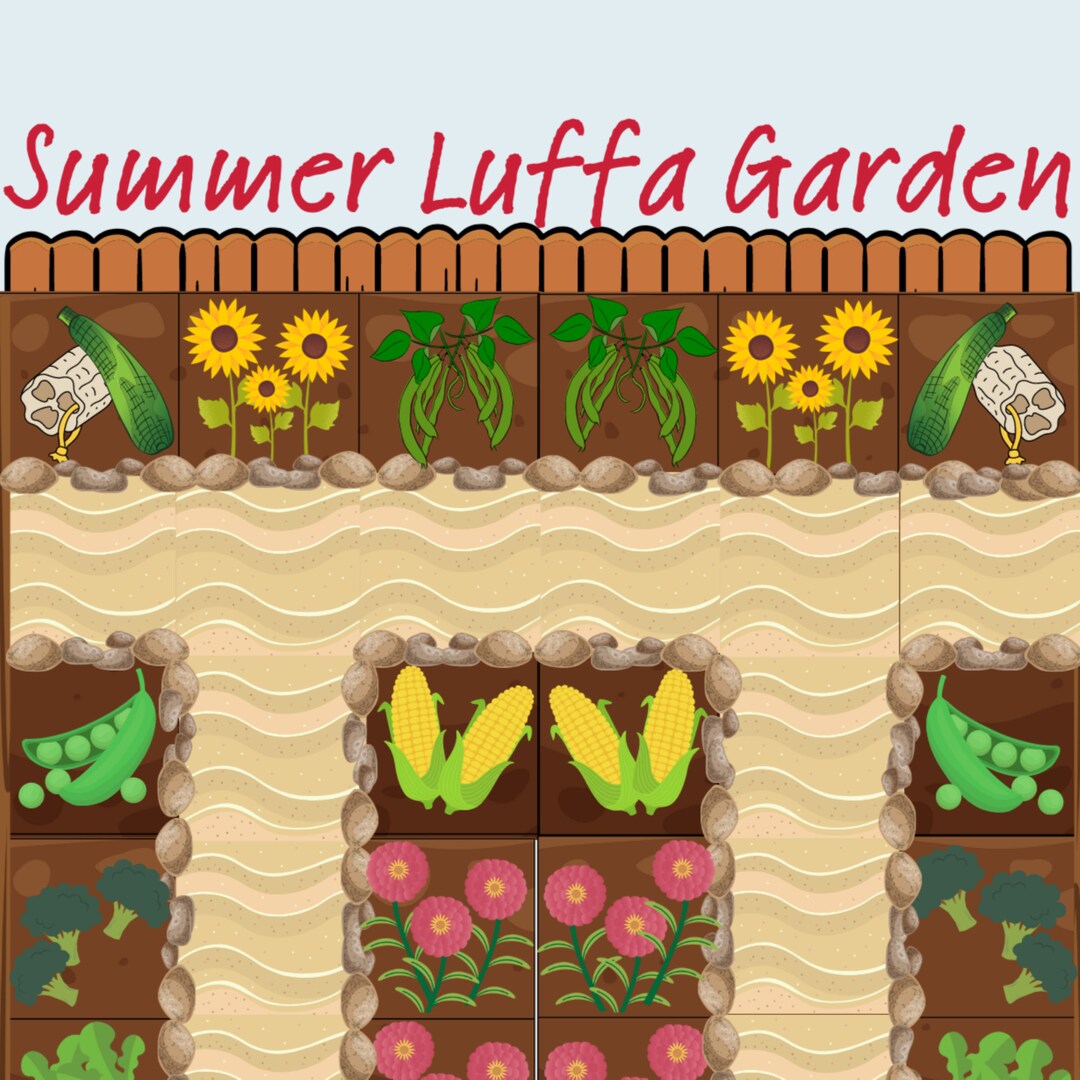Printable Luffa Garden Plan-digital Download-summer Vegetable Garden ...