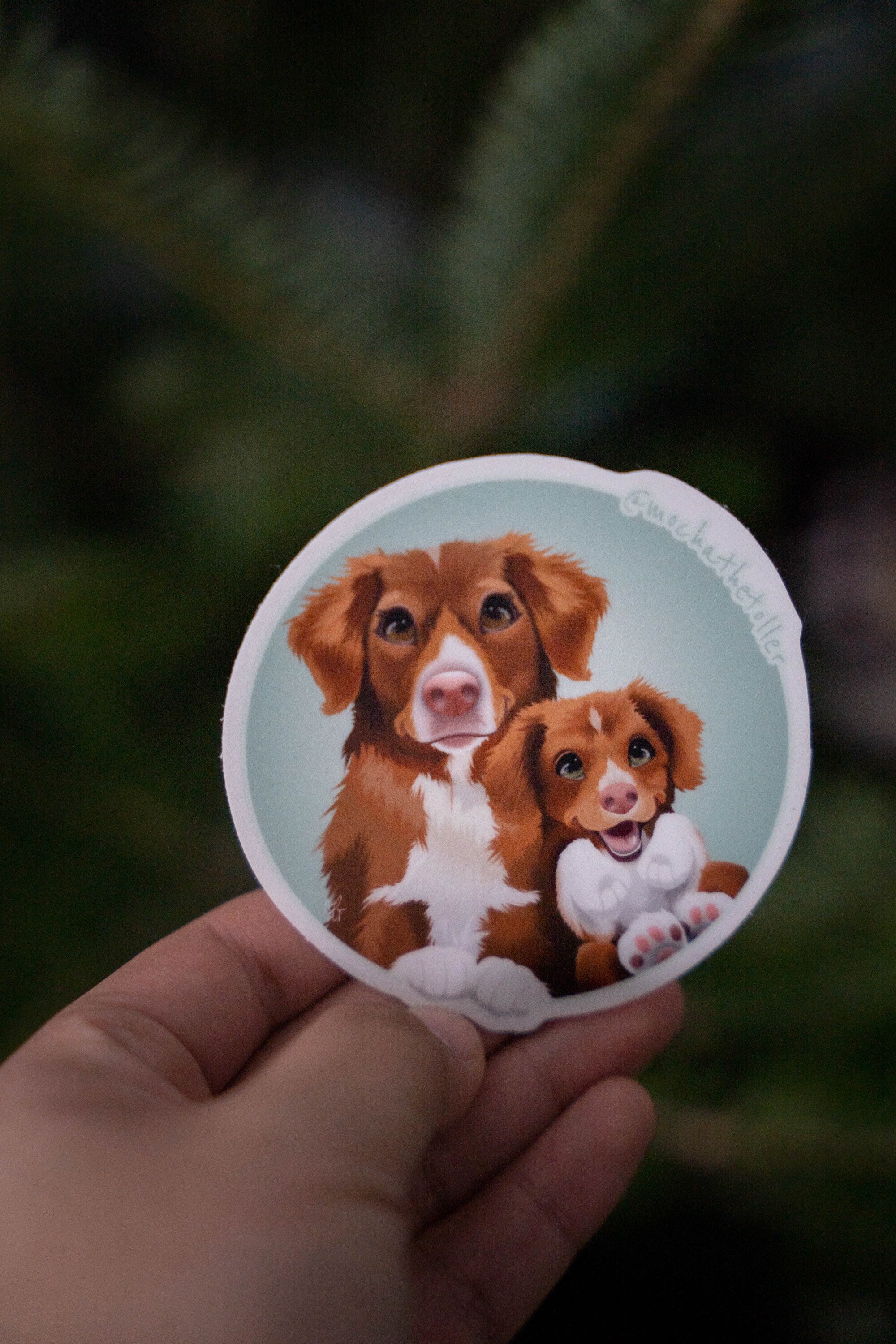 Cartoon Duck Toller Puppy Sticker - Etsy