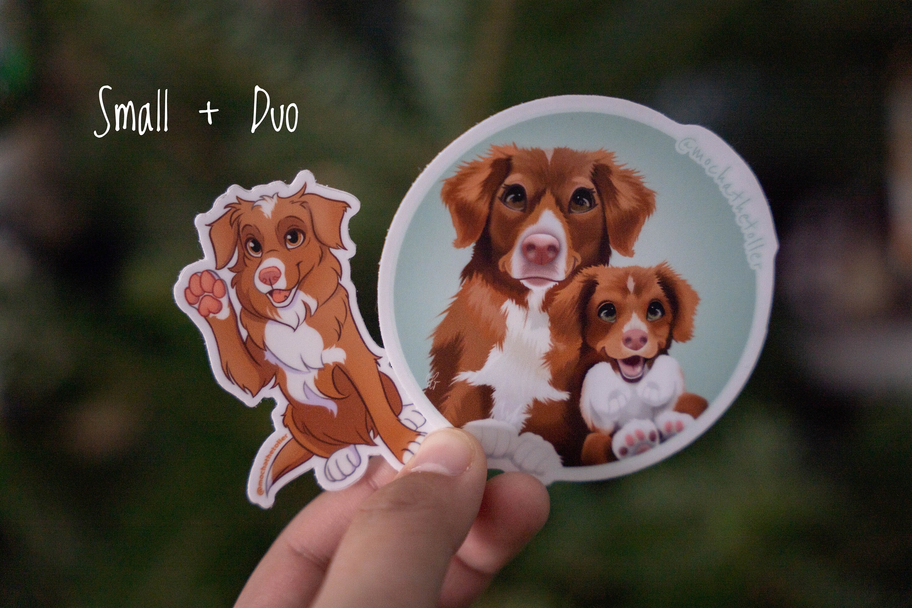 Mix & Match - Cartoon Nova Scotia Duck Tolling Retriever Stickers - Etsy