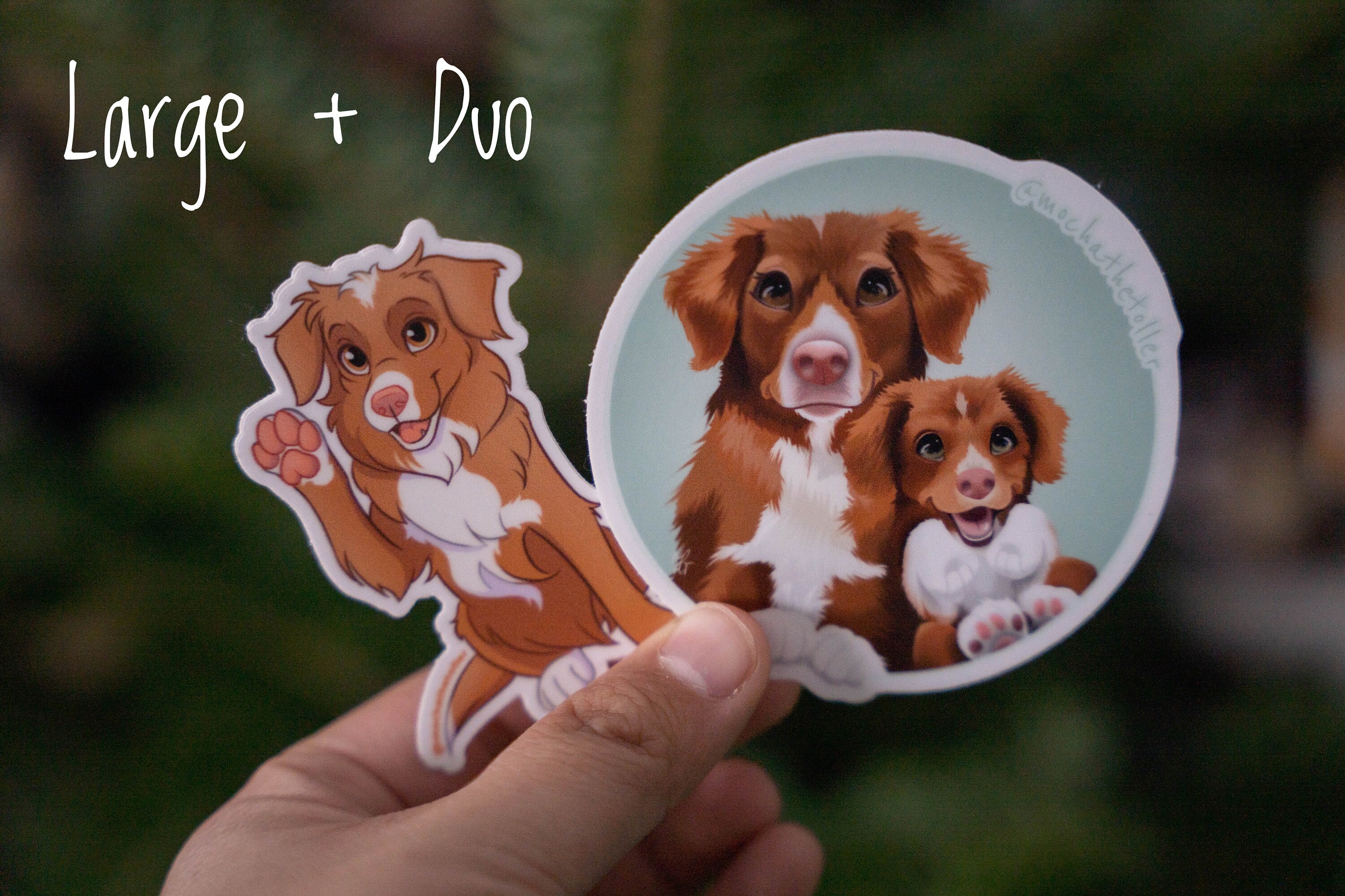 Mix & Match - Cartoon Nova Scotia Duck Tolling Retriever Stickers - Etsy