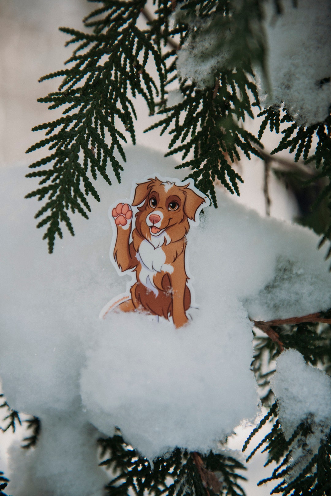 Cartoon Nova Scotia Duck Tolling Retriever Vinyl Sticker - Etsy