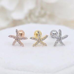 16G,20G,21G Dainty Starfish Cartilage Surgical Steel Stud Earring ...