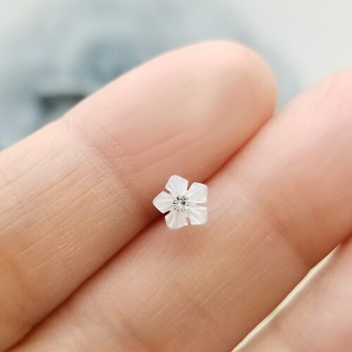 16G Simple Shell Flower Surgical Steel Stud | Etsy