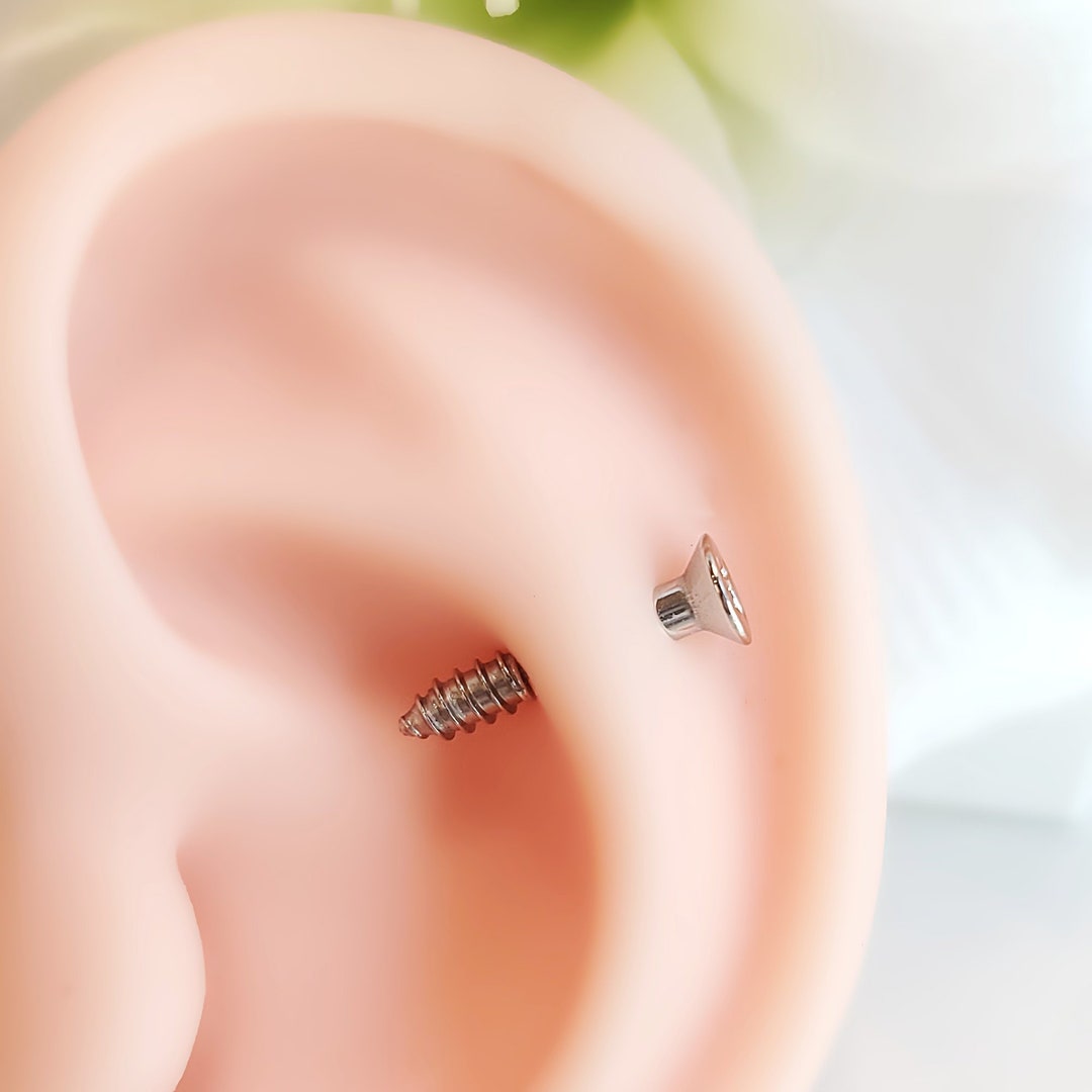 16G Unisex Fashion Screw Whole Surgical Steel Cartilage Earring, Helix ...