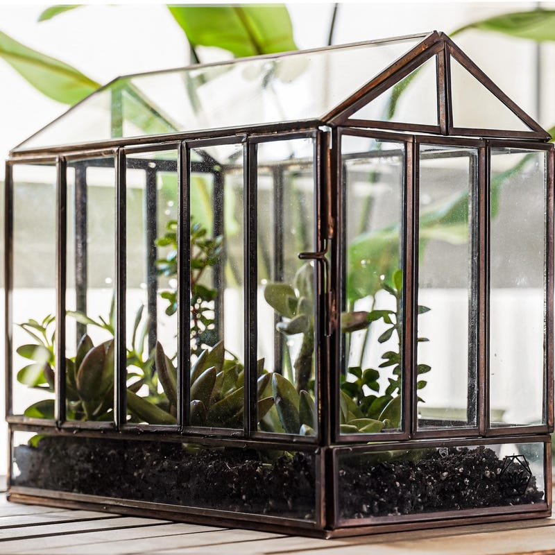 Terrarium Glass - Etsy
