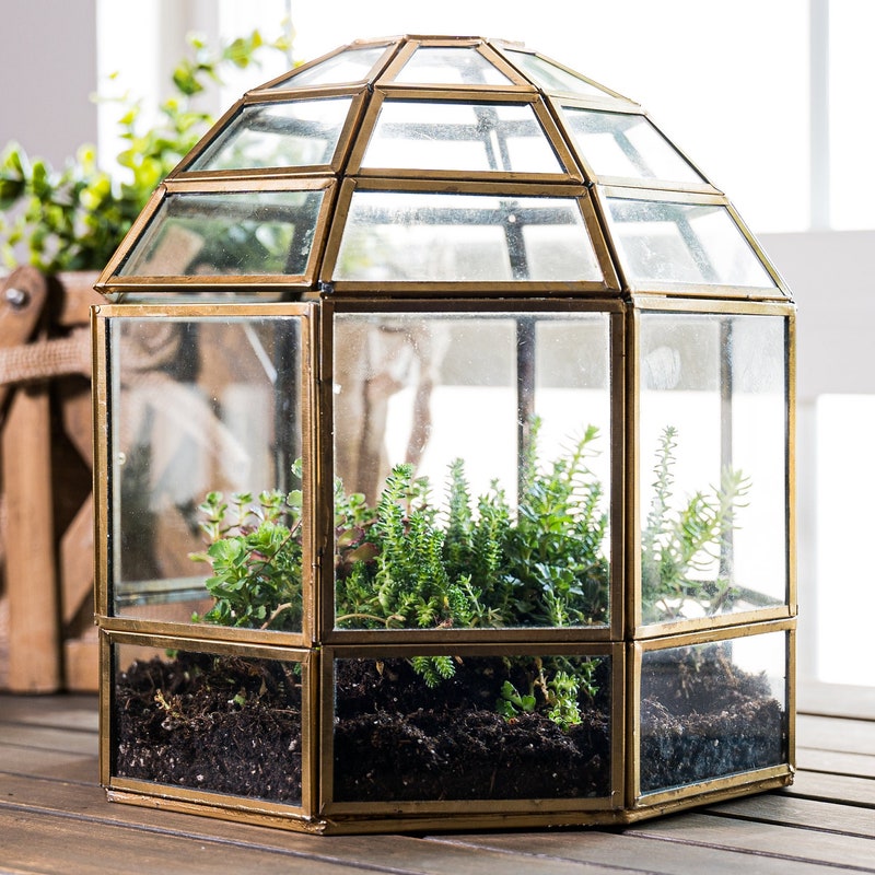 Terrarium Glass and Brass - Etsy