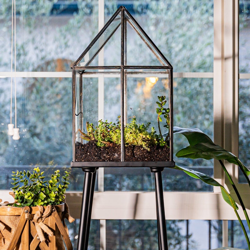 Terrarium Stand - Etsy