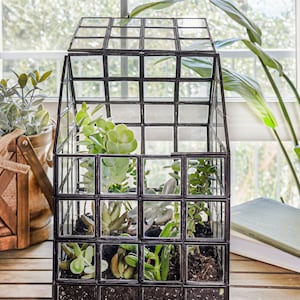 Black Lattice Glass Terrarium, Succulent Planter, Display (8x8x12) - Etsy
