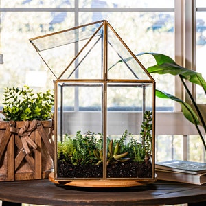 UB Terrarium With Stand, Glass, Steel, Perfect For: Indoor Garden ...