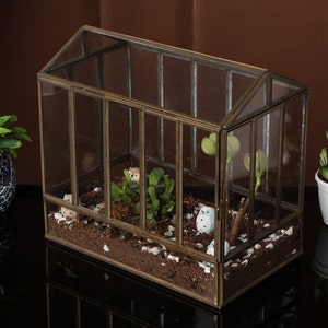 Urban Born Large Terrarium Greenhouse, Glass and Metal Indoor Display ...