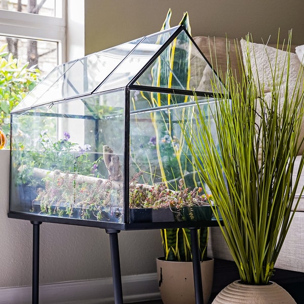Terrarium Stand - Etsy