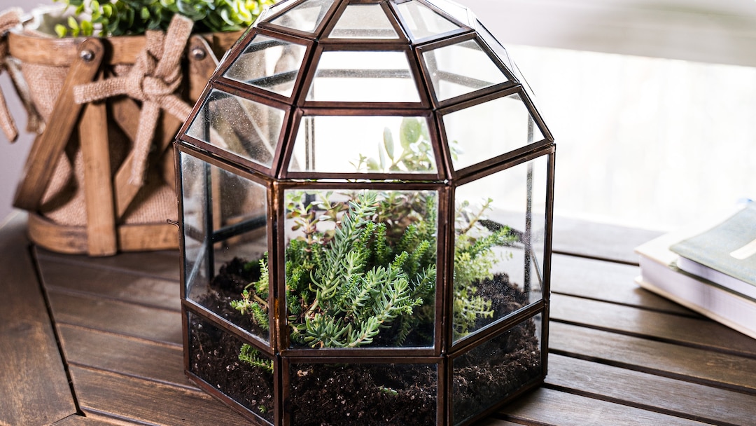 Large Glass Terrarium in Bronze Birdcage Style | Planter | Display ...