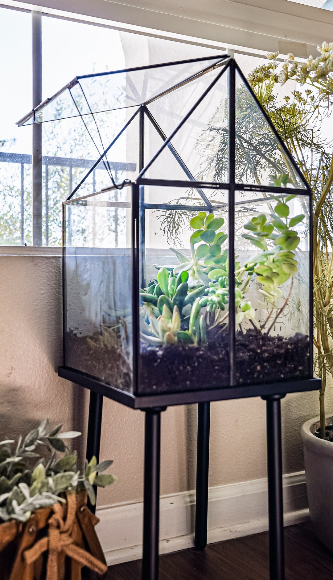 UB Terrarium With Stand, Glass, Steel, Perfect For: Indoor Garden ...