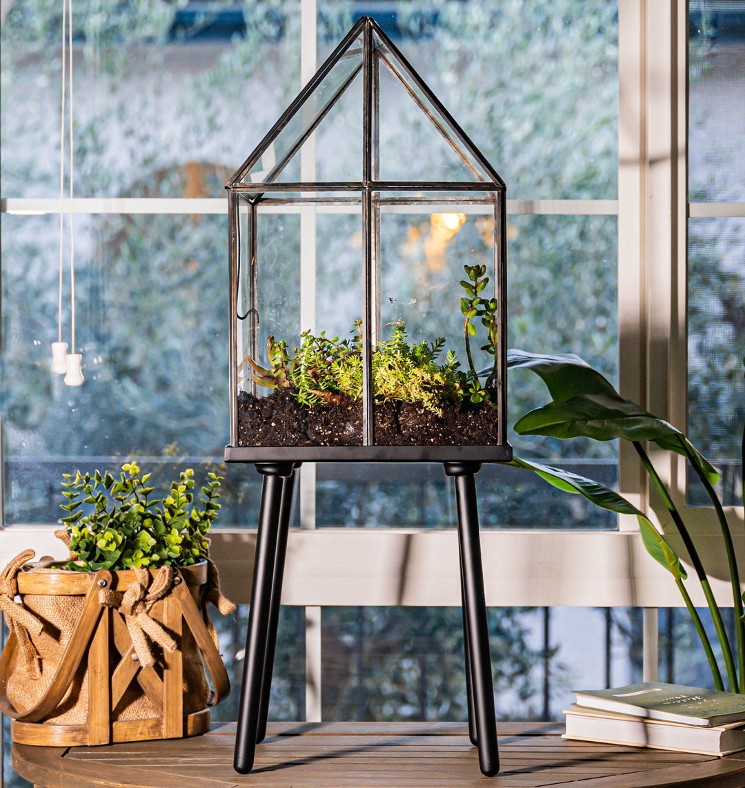 UB Extra Large Terrarium, Glass and Steel, Perfect For: Indoor Garden ...
