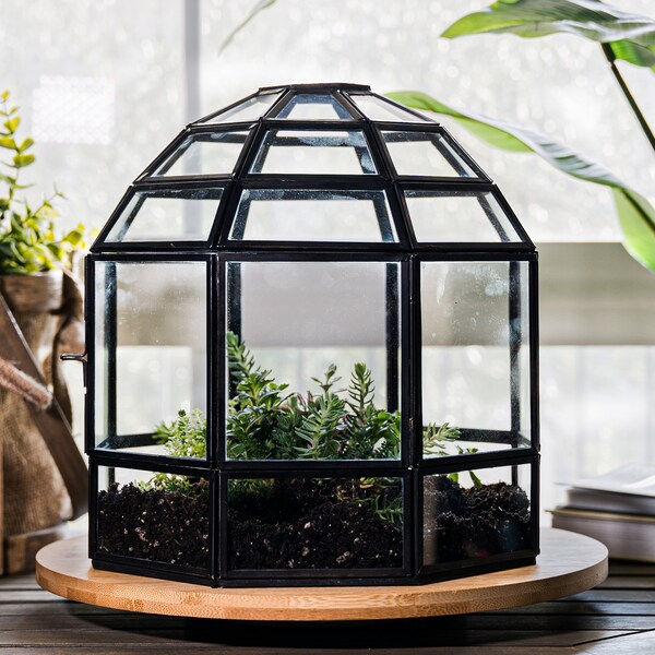 Large Glass Terrarium - Etsy