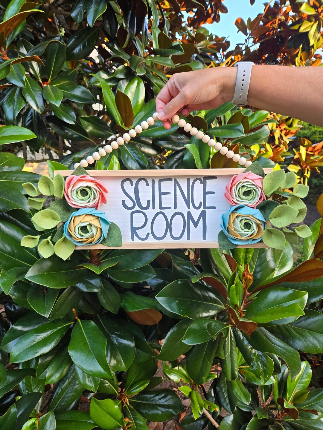 Personalized Science Classroom Door Sign Handmade Science Class Wall ...