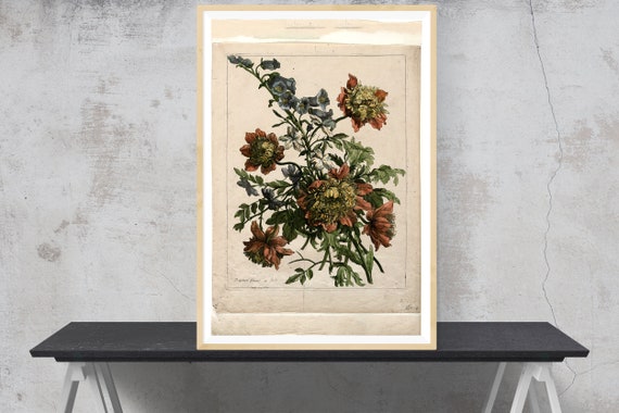 Vintage Botanical Prints Vintage Flower Print Vintage | Etsy