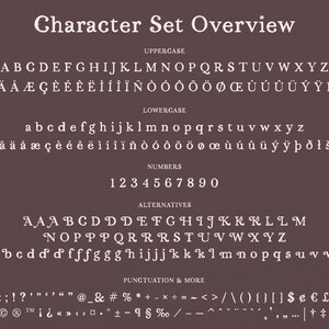 Persephone // A Hand-drawn Serif Font // Vintage, Classy, Chic Hand ...