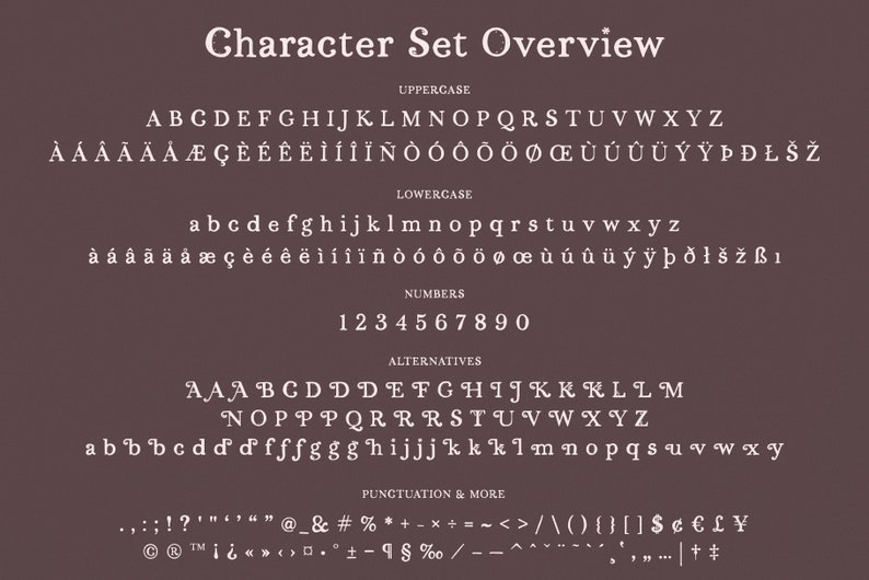 Persephone // A Hand-drawn Serif Font // Vintage, Classy, Chic Hand ...