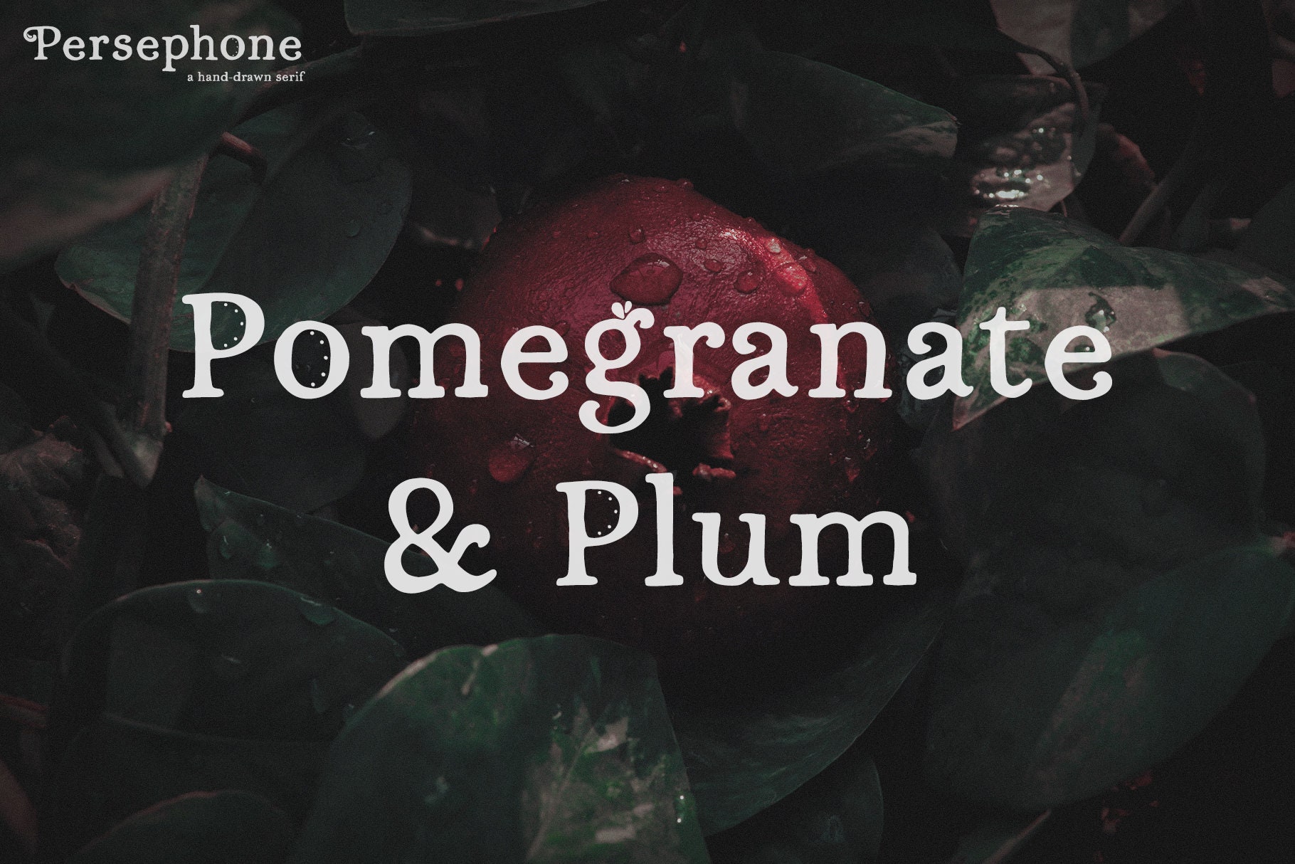 Persephone // A Hand-drawn Serif Font // Vintage, Classy, Chic Hand ...