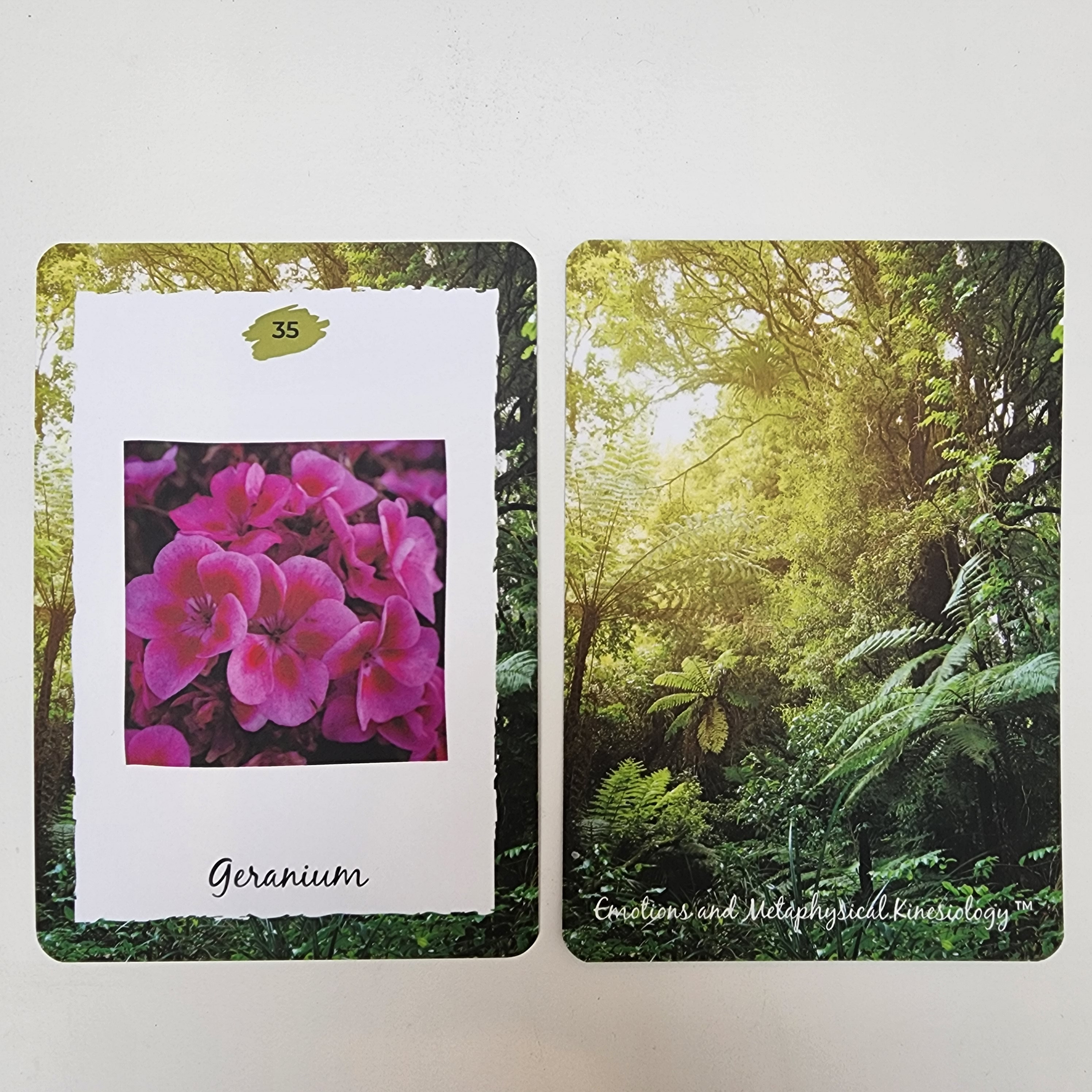 Essential Oil Cards and Reference Chart Set Deck of 89 Cards and ...