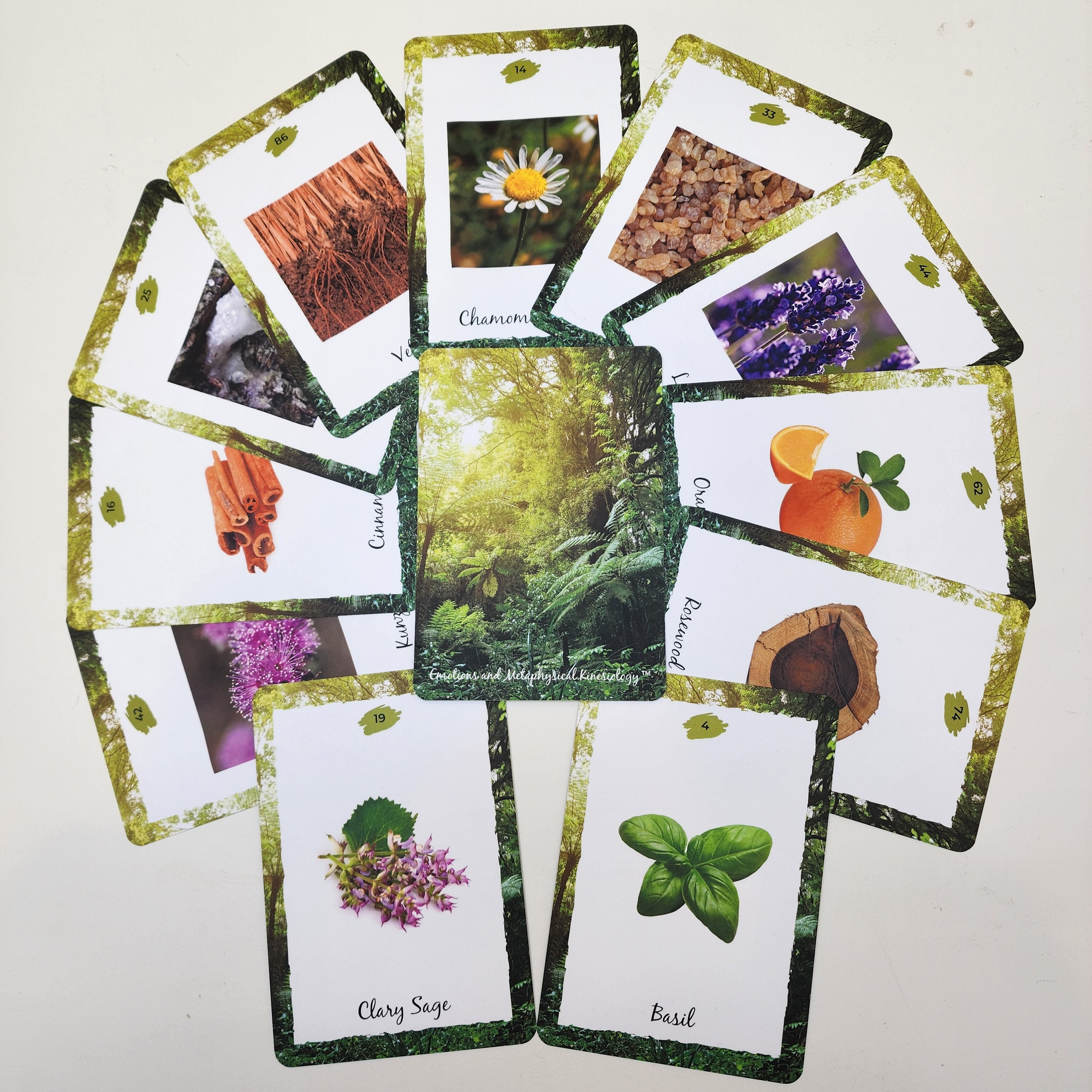 Essential Oil Cards and Reference Chart Set – Deck of 89 Cards and ...