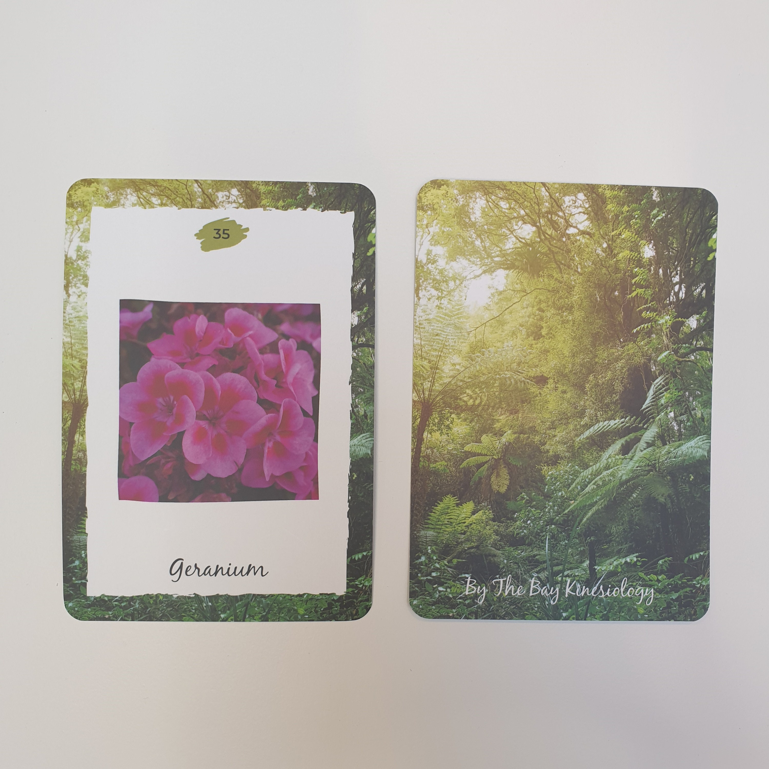 Essential Oil Cards and Reference Chart Set Deck of 89 Cards - Etsy