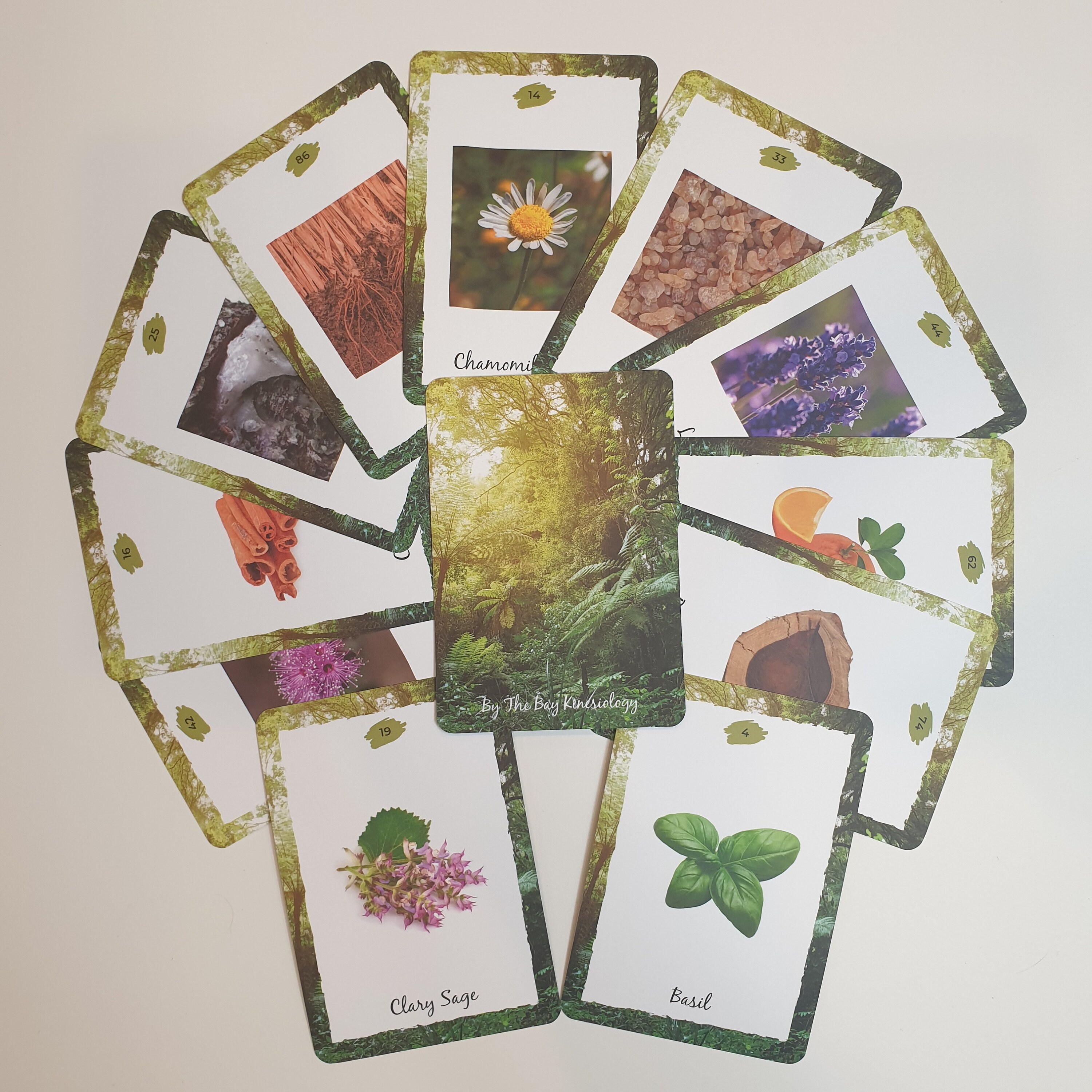 Essential Oil Cards and Reference Chart Set Deck of 89 Cards and ...