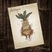 Mandragora Poster/book Page PDF Printable for Witches and - Etsy