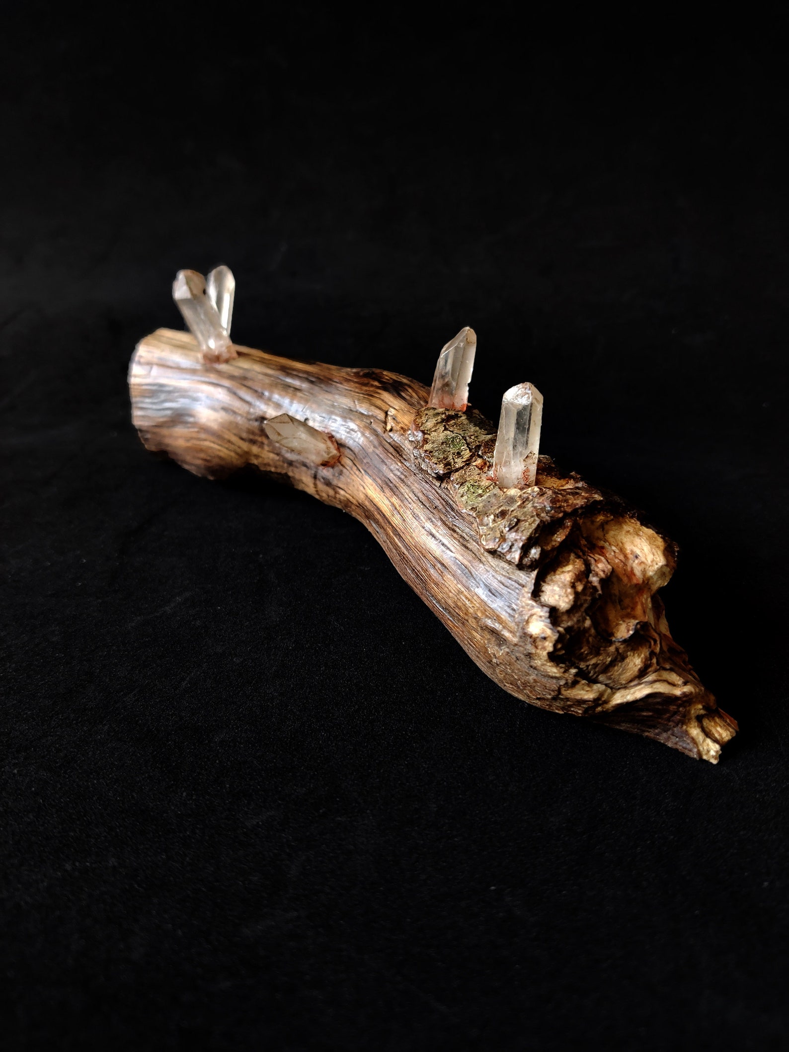 Magic Wands Personalised and Custom Design. Explore Now Costume ...