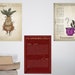 Mandragora Poster/book Page PDF Printable for Witches and - Etsy