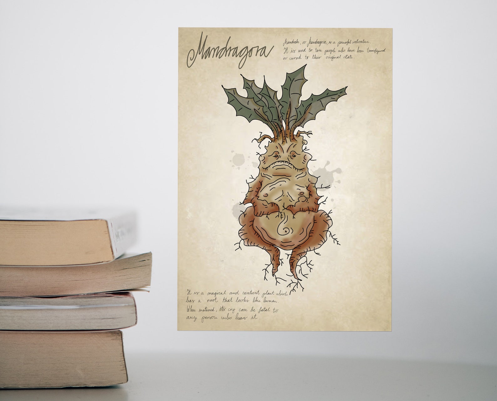 Mandragora Poster/book Page - PDF Printable for Witches and Wizards ...