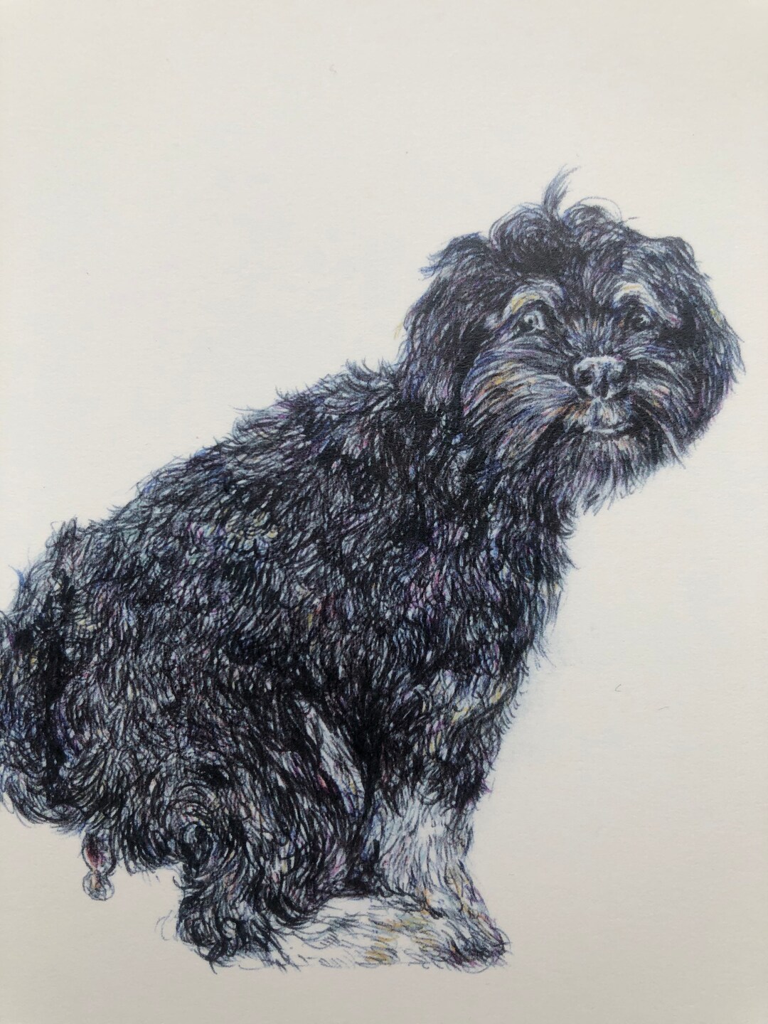 Black Dog Poop Poster for Toilet Wall Decoration | Wall, Art, Bathroom ...