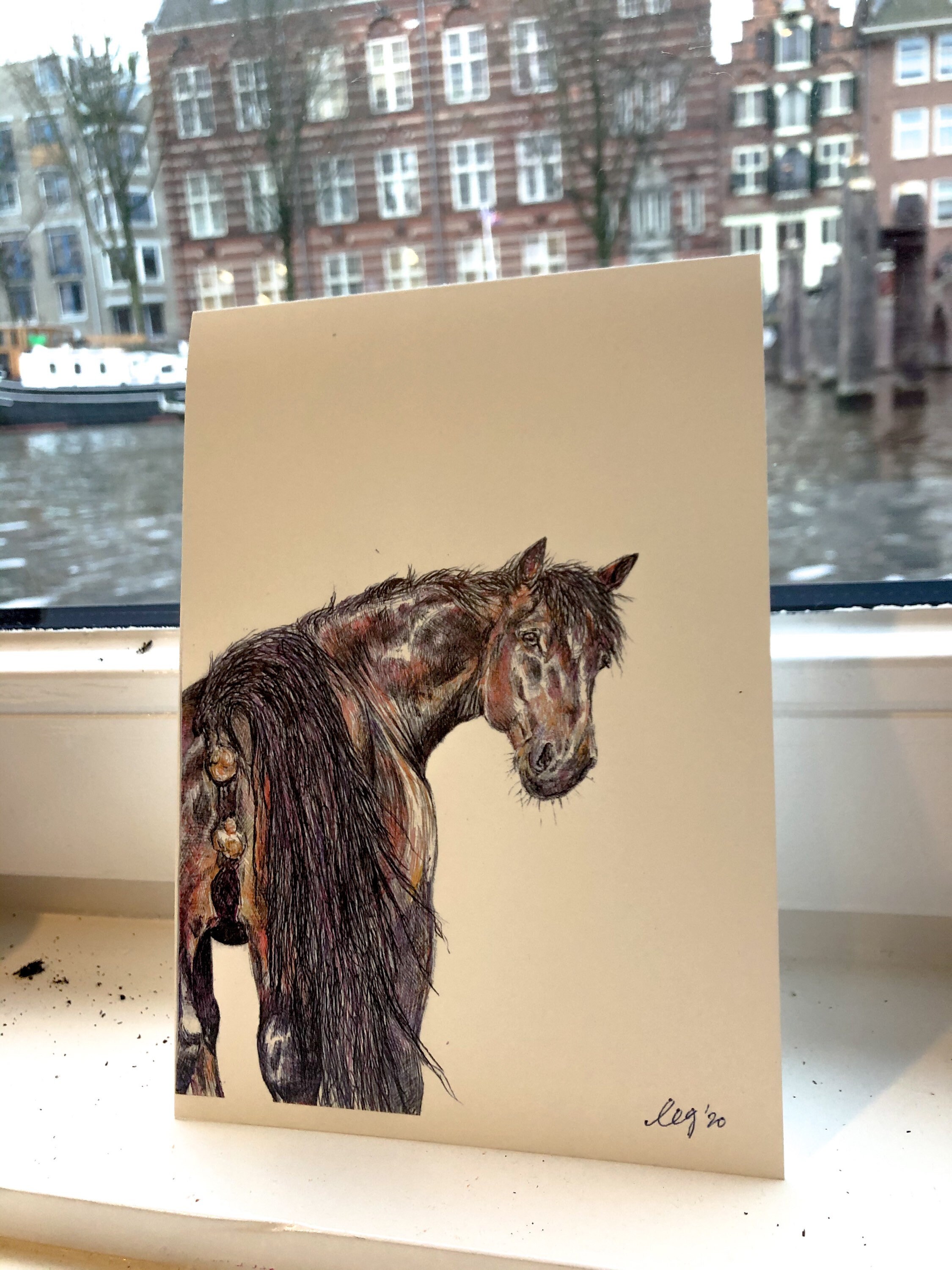 Poepen Paard Badkamer Wanddecoratie Grappig, Onzin, Kunst ...