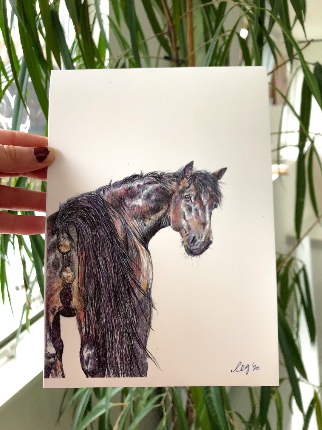 Poepen Paard Badkamer Wanddecoratie Grappig, Onzin, Kunst ...