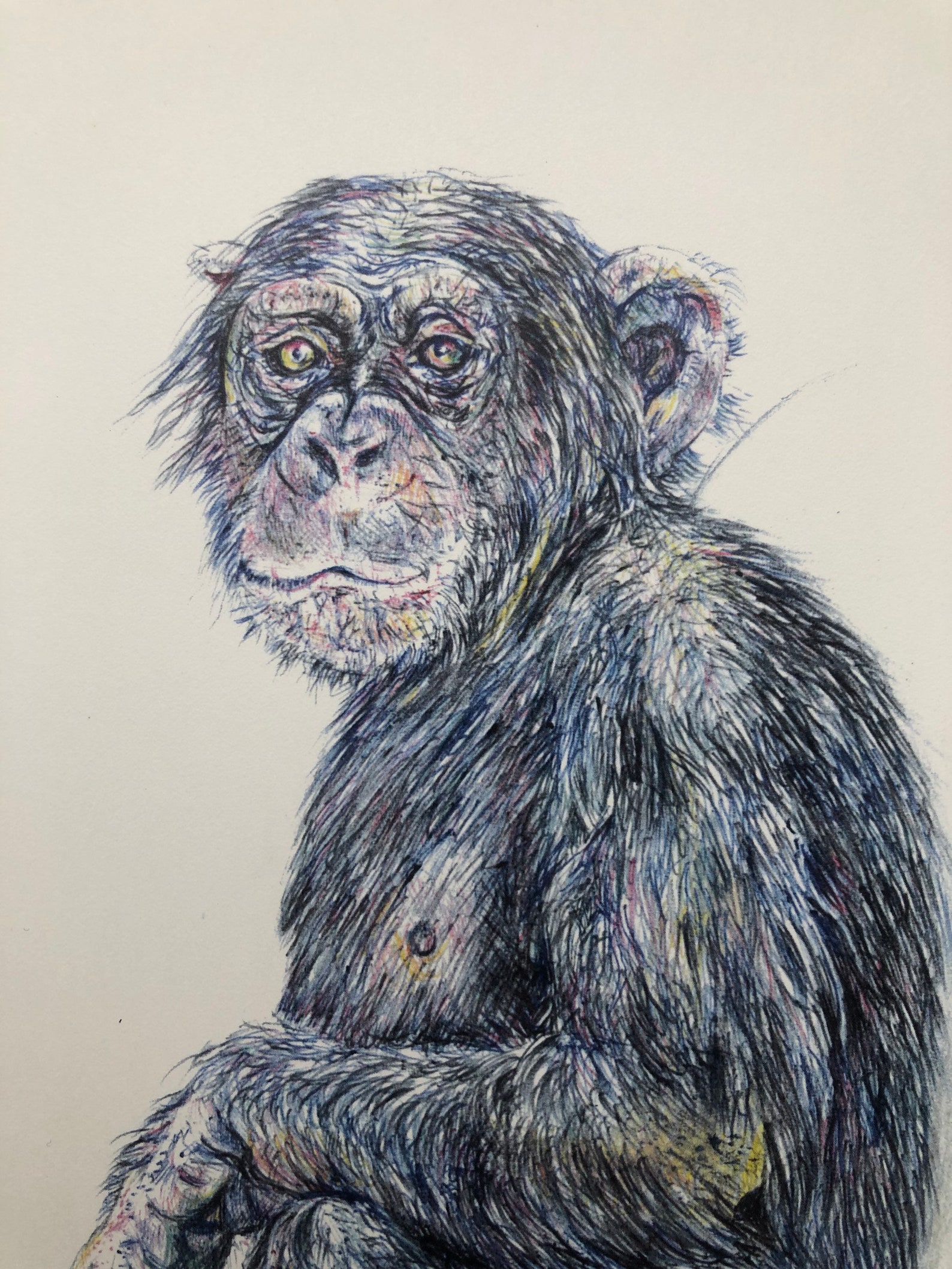 Pooping Monkey Funny Toilet Wall Decoration Poster Poop, Bathroom, Sign ...