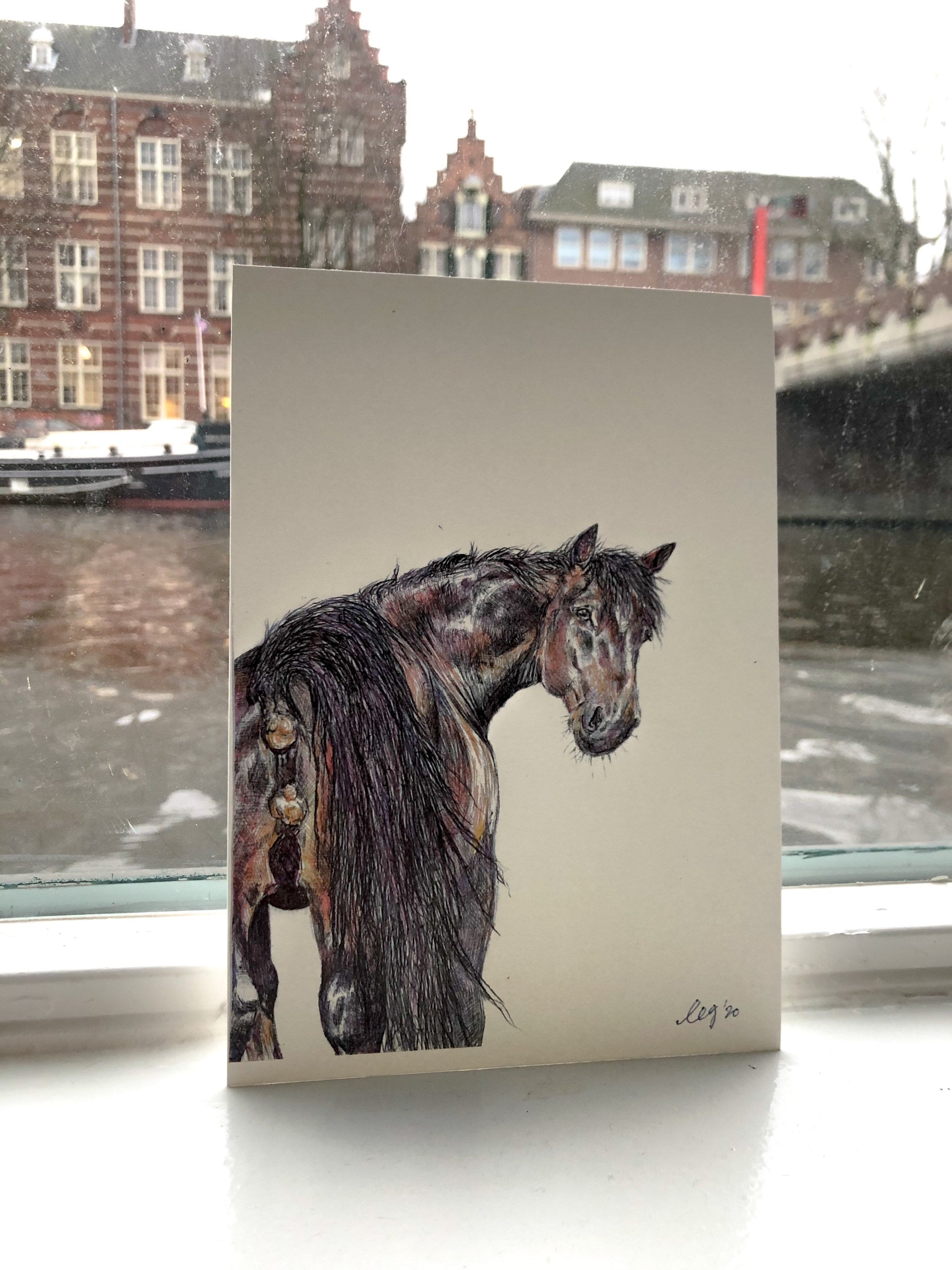 Poepen Paard Badkamer Wanddecoratie Grappig, Onzin, Kunst ...