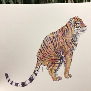 Pooping Tiger Bathroom Wall Art Decoration Funny, Crap, Artwork ...