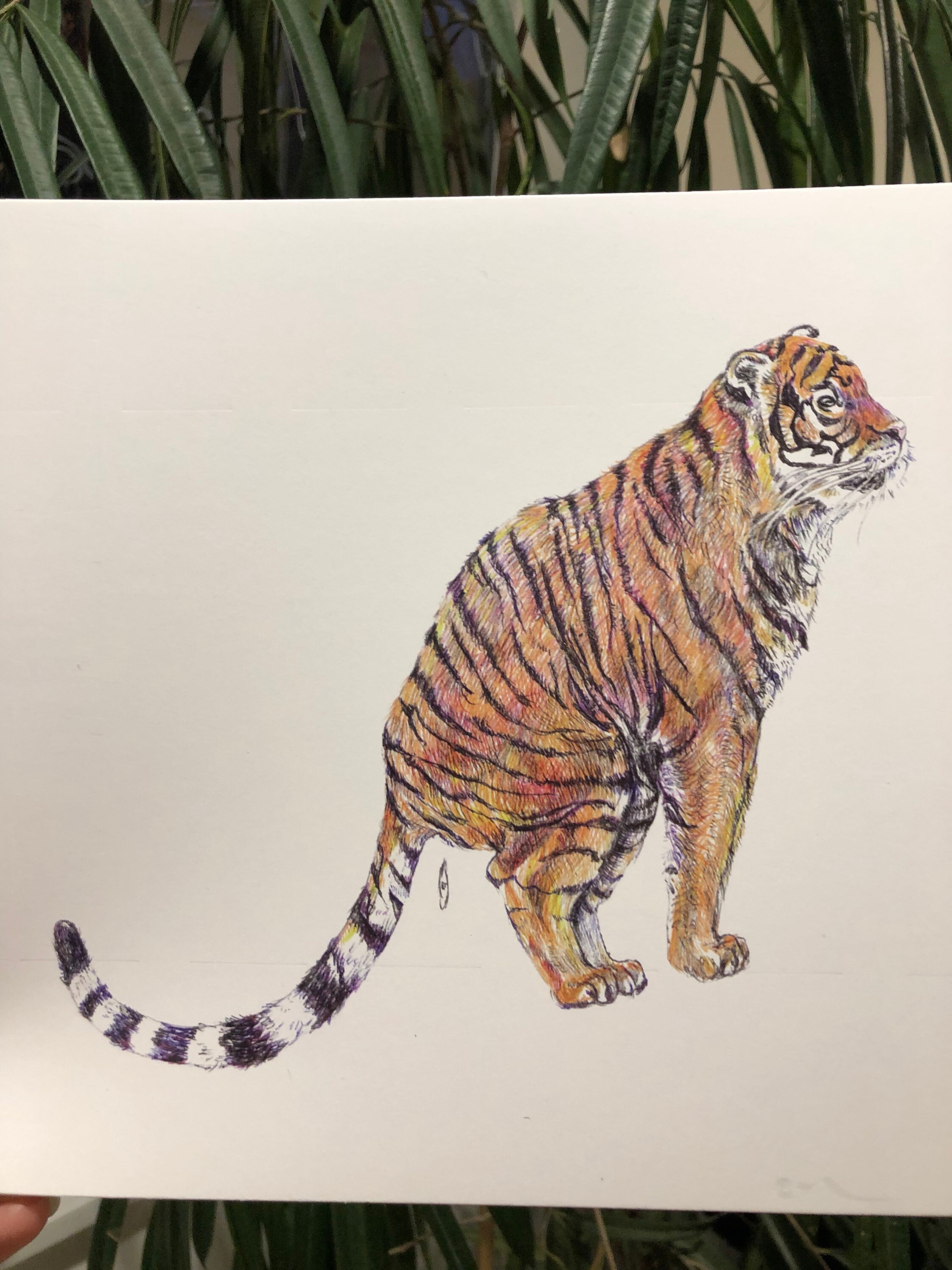 Pooping Tiger Bathroom Wall Art Decoration Funny, Crap, Artwork ...