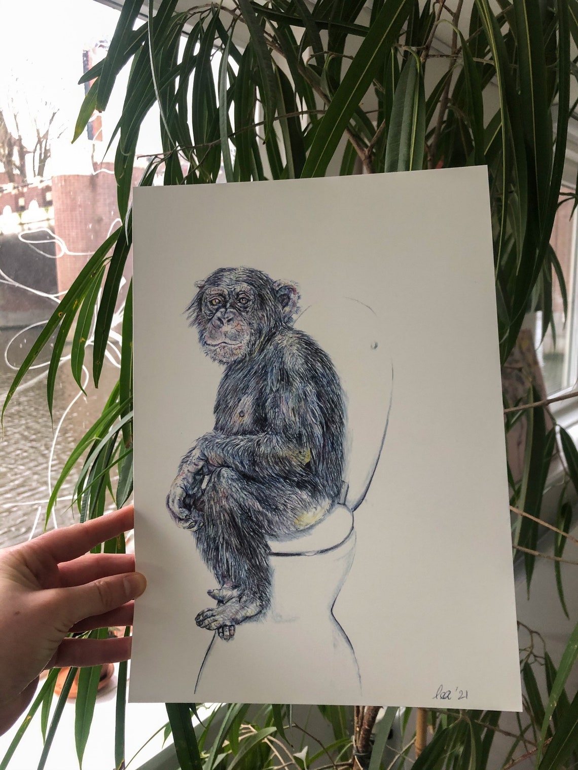 Pooping Monkey Funny Toilet Wall Decoration Poster Poop, Bathroom, Sign ...