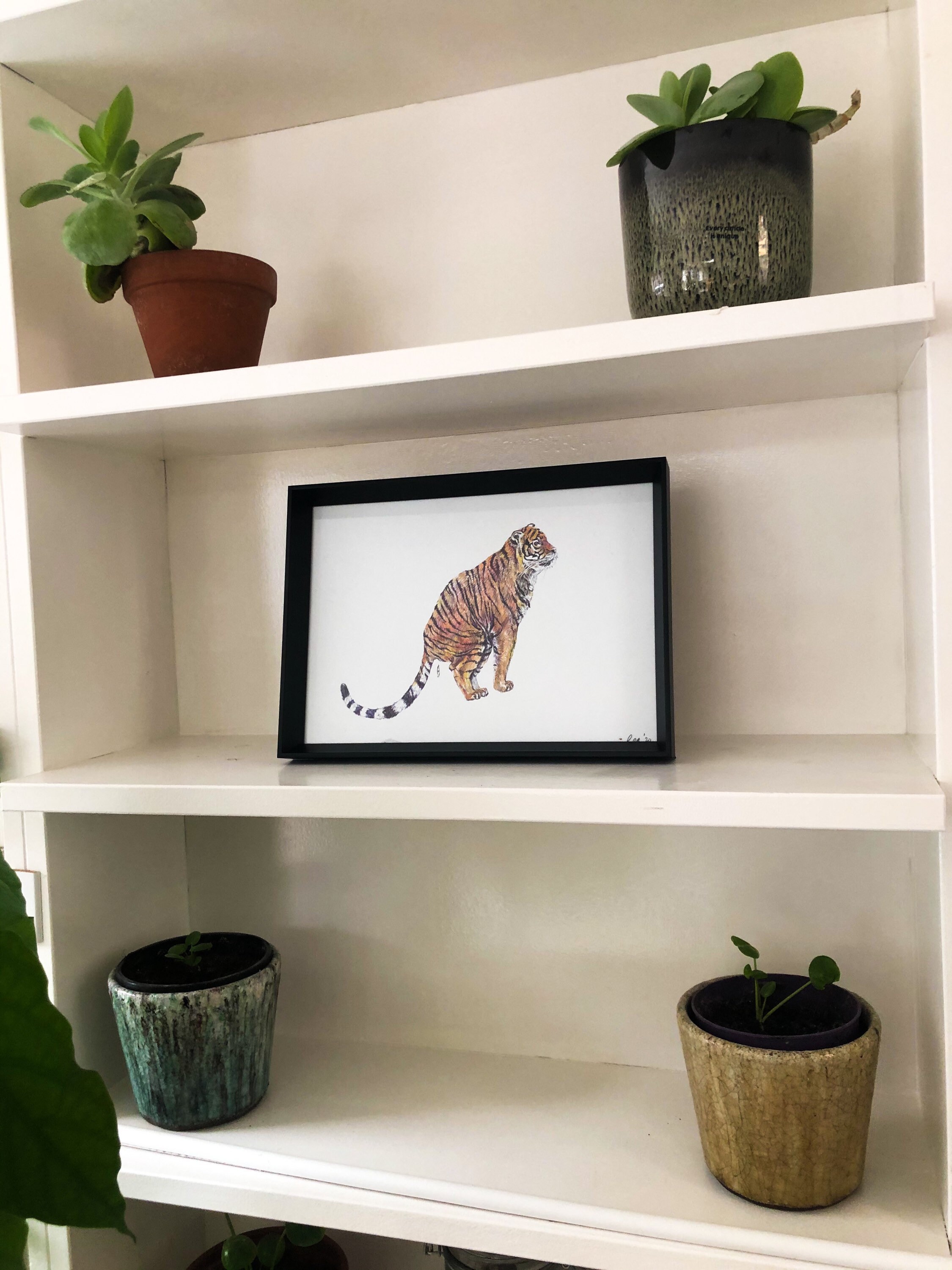 Pooping Tiger Bathroom Wall Art Decoration Funny, Crap, Artwork ...