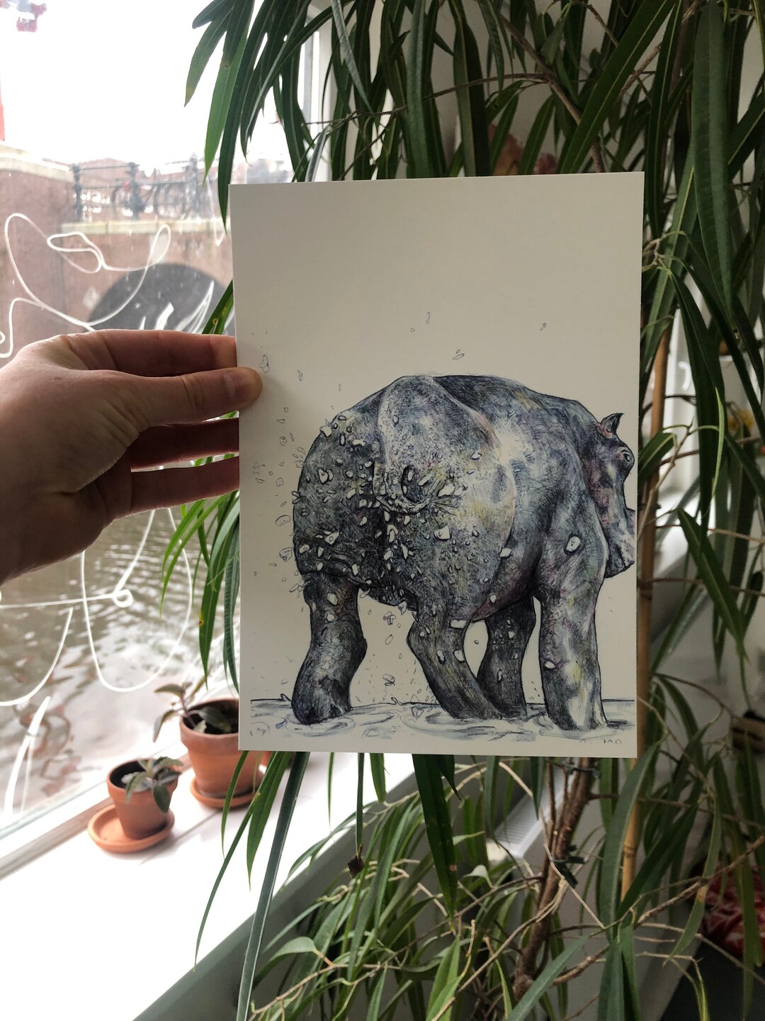 Pooping Hippo Funny Toilet Art Decoration | Animal Poster | Print - Etsy