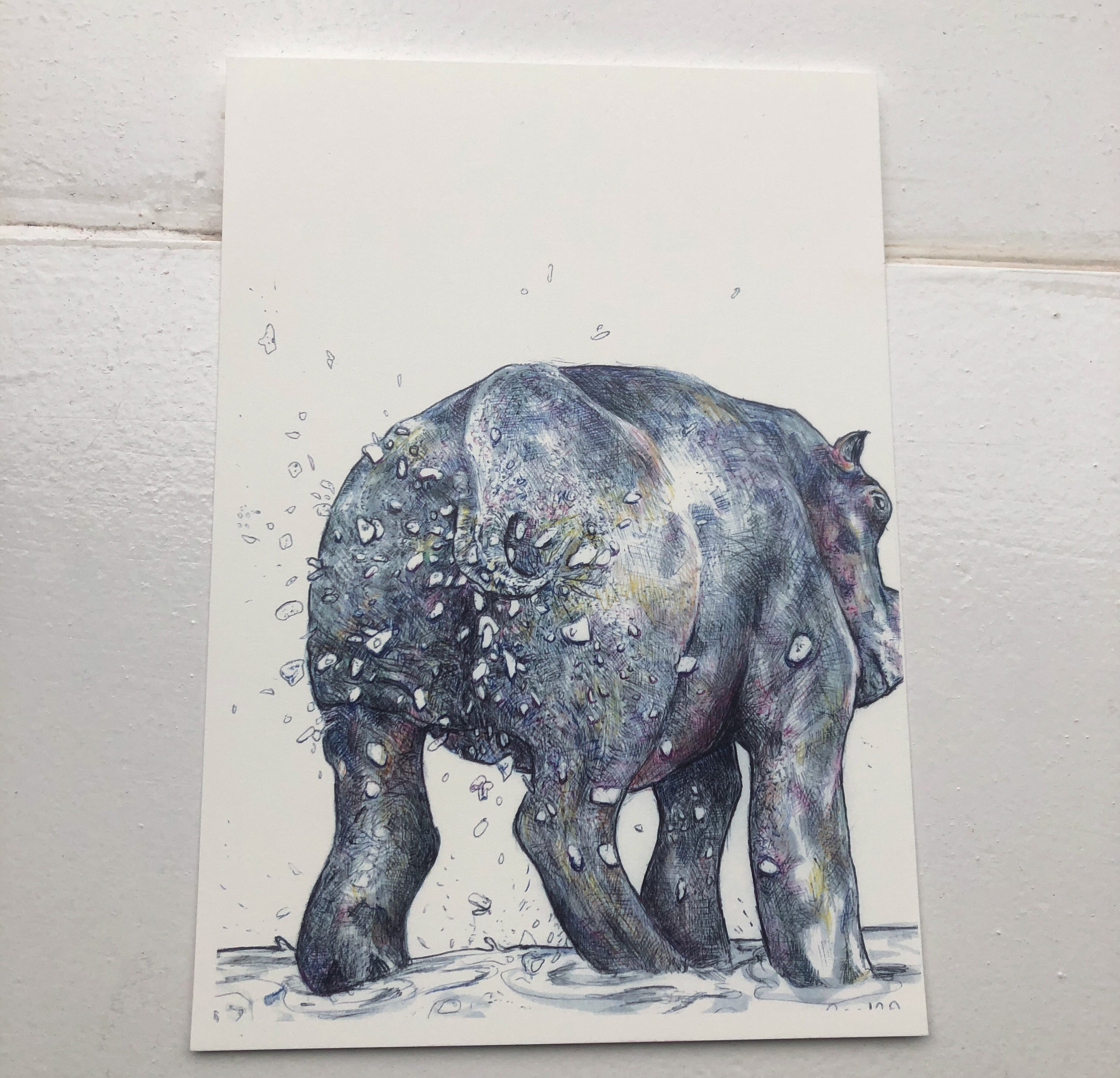 Pooping Hippo Funny Toilet Art Decoration | Animal Poster | Print - Etsy