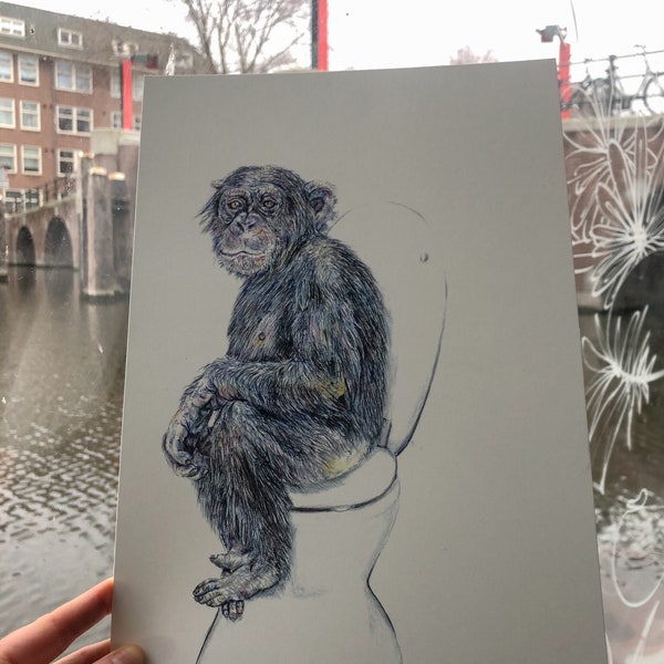 Monkey on Toilet Poster - Etsy