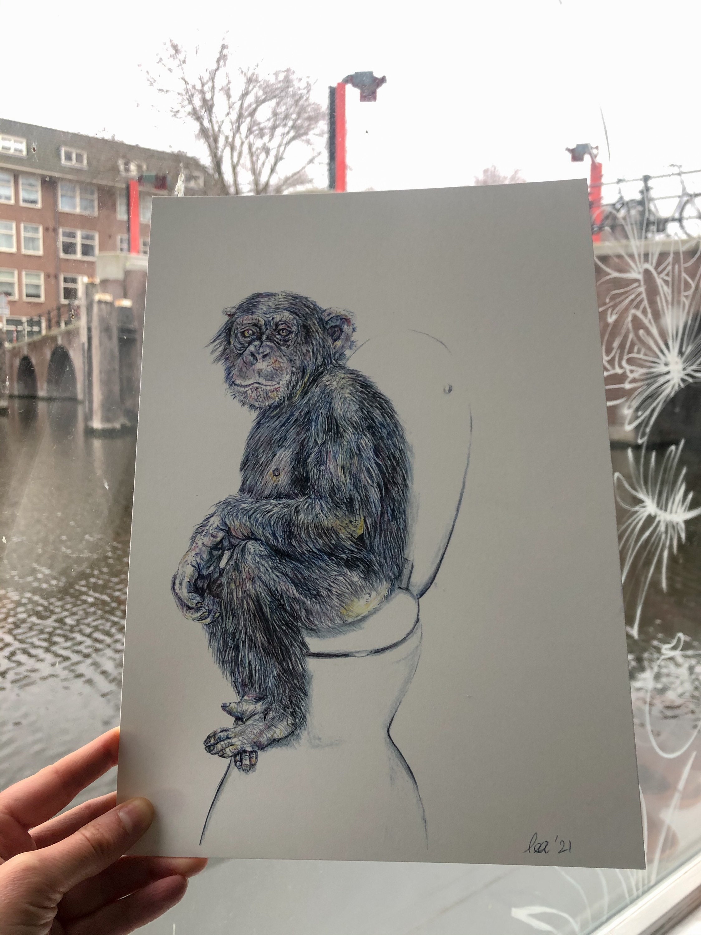 Pooping Monkey Funny Toilet Wall Decoration Poster Poop, Bathroom, Sign ...